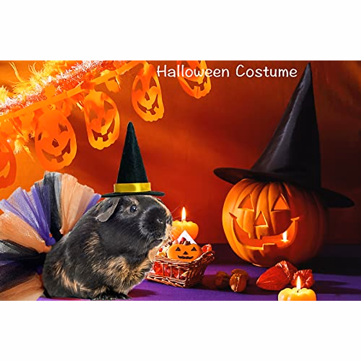 CooShou 3Pcs Guinea Pig Halloween Costume Small Animals Witch Hat Halloween Bandana Triangle Scarf for Guinea Pig Chinchilla