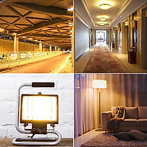 TAIYALOO R7S LED Bulb 78mm 100W T3 Halogen Bulb Equivalent Dimmable J Type Linear Double Ended Floodlight Bulbs for Work,Security,Landscape Lights,Floor Lamps,120V 9W Warm White 3000K,2 Pack