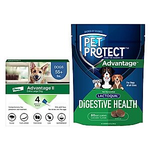 Bundle of Advantage II XL Dog| Dogs Over 55 lbs. | 4-Month Supply + Pet Protect from Dog Digestive Health Supplement | 60 Chews