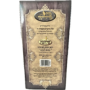 SHALHEVET LIGHT Havdalah Candle - Etrog Shaped | Elegant Jewish Candle for Havdalah | Kosher Wax, Handcrafted Design, Long-Burning | Unique Etrog Candle for Jewish Traditions & Shabbat End