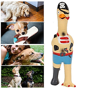 Pirate Chicken Screaming Dog Toy - Interactive Fun for Dogs & Pets - Halloween Favors