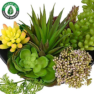 Luxsego Artificial Succulents Plants, Fake Potted Plants - 7.2 Inch Faux Succulents, Artificial Plants & Greenery for Hone Garden, Table Desk Shelves, Bathroom, Office Decorations(1 Pot)