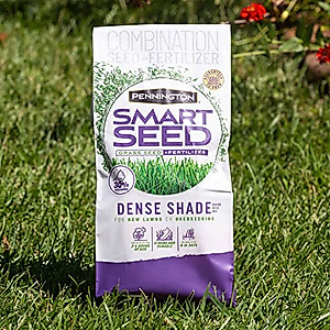Pennington Smart Seed Dense Shade Grass Mix 3 lb
