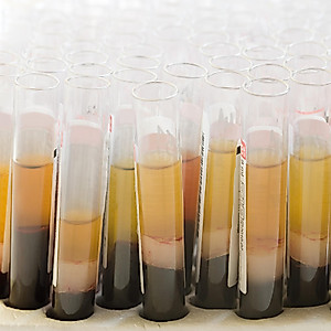 HUAOU 10pcs 60ml Glass Test Tubes, 25x150mm 3.3 Borosilicate Glass Test Tubes for Scientific Experiments, Party and Home Decorations, Candy Storage and Plant Propagation