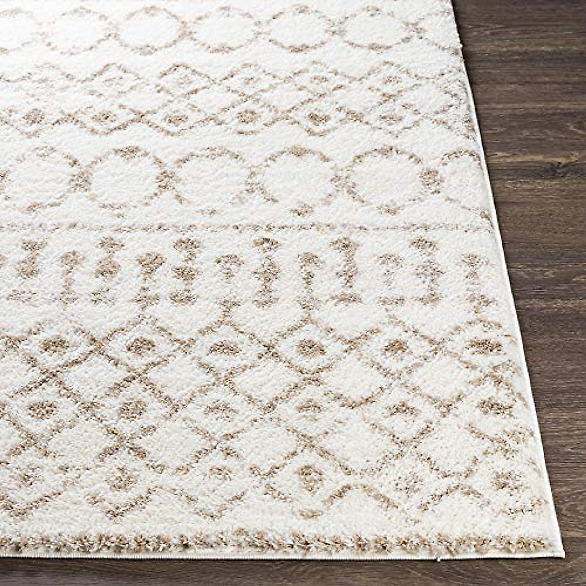 Livabliss Anita Bohemian Shag Area Rug,7'10" x 10',Beige