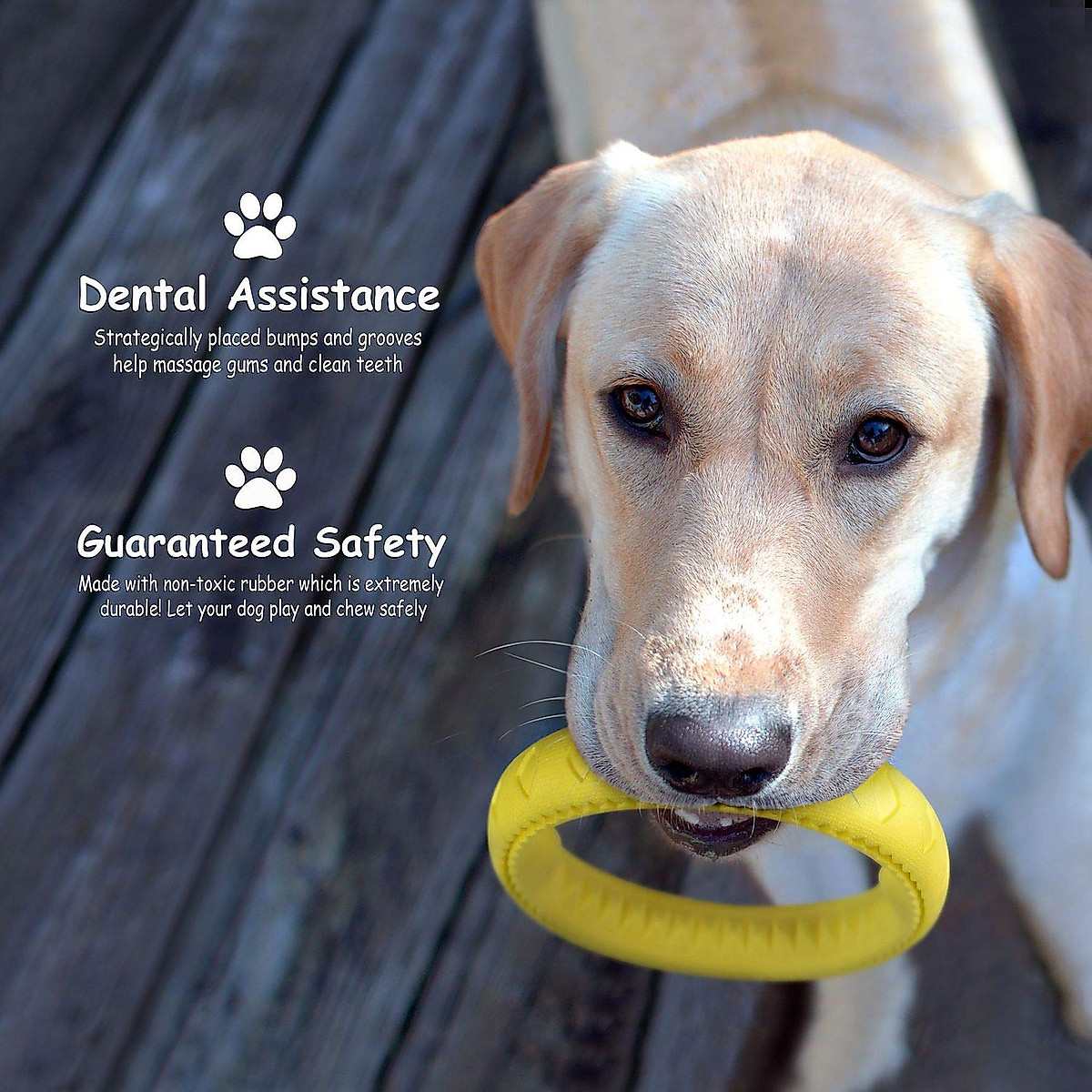 Fluffy Paws Dog Chewing Ring - Soft Rubber Ring Dental Chewing Teething Biting Chasing Training Toy for Small and Medium Dog Puppy - 7", Yellow