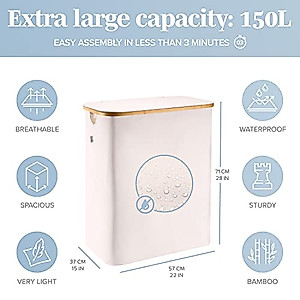 Lonbet - Beige Double Laundry Hamper with Lid, 2 Sections and Removable Bags, Hamper for Laundry 2 Compartments to Simplify Laundry Day for Busy Moms, 39.6 Gallons (3-5 Loads in a Washing Machine)