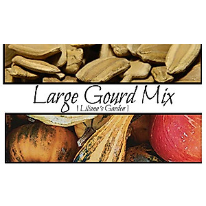 Gourd Seeds - Large Mix - Non-GMO Heirloom Garden Seeds - Booklet Included - Liliana's Garden