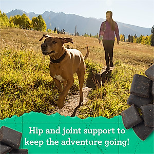 Zukes Hip and Joint Dog Treats, Soft and Chewy Natural Bag of Treats, Hip and Joint Support, Chicken Recipe - 6 oz. Bag