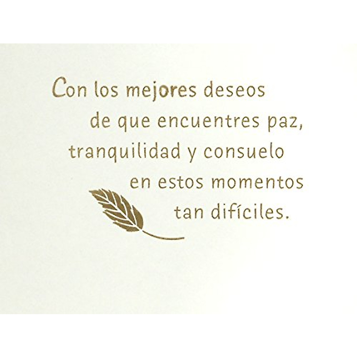 Hallmark Vida Spanish Sympathy Card (Foil Flowers) 0349RZM7021