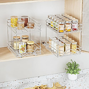 FANHAO Pull Out Spice Rack Organizer for Cabinet, Heavy Duty Slide Out Seasoning Kitchen Organizer, 2 Tier Cabinet Organizer Under Sink Organizers, 8.7" W x10.3 D x10.8 H, Chrome