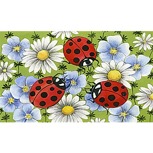 Toland Home Garden 800209 Flowers and Ladybugs Spring Door Mat 18x30 Inch Summer Outdoor Doormat for Entryway Indoor Entrance
