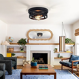 ZHU YAN 2 Pack Black Flush Mount Ceiling Light,Industrial Farmhouse Metal Cage Black Light Fixtures Ceiling Mount for Kitchen Entryway Hallway E26 Base (10.63in)