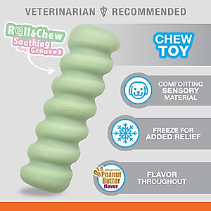 Nylabone Sensory Material Puppy Chew Toy Stick - Puppy Teething Toy for Boredom & Stimulation - Puppy Supplies - Peanut Butter Flavor, Small/Regular (1 Count)