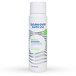 Seaweed Bath Co. Balance Shampoo, Eucalyptus Peppermint Scent, 12 Ounce, Sustainably Harvested Seaweed, Pro Vitamin B5, For Normal to Oily Hair