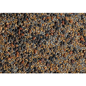 No-Till Cover Crop 13-Seed Mix (1 lb. Bag): [50% Clovers Plus Fenugreek, Vetch, Flax, Cowpeas, Buckwheat, Forage Peas, Millet, Lentils, Crimson Clover, Sweet Yellow, White Clover, Medium Red Clover]