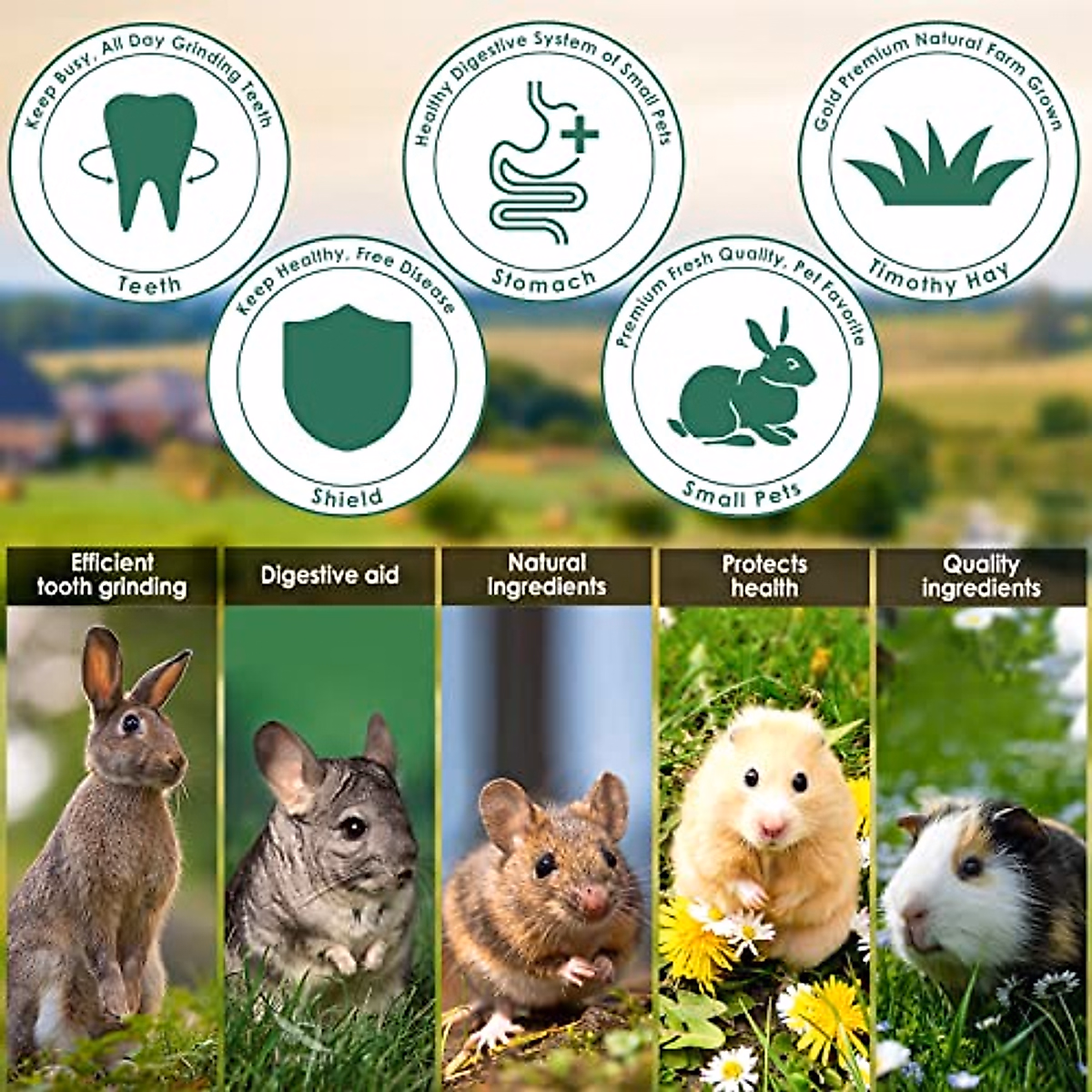 ERKOON 100% Edible Premium Timothy Hay Chew A Bowl for Rabbits, Chinchilla Treats, Chew Toys for Teeth Guinea Pigs and Mice