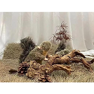 ALL FOR PAWS Squeaky Dog Toys, Animal Plush Dog Toy, Stuffed Dog Toys, Puppy Toys for Teething Small Dogs