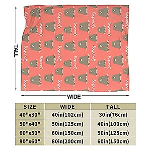 Groundhog Day Fleece Blanket Throw Blanket, Ultra-Soft Cozy Micro Fleece Blanket for Sofa, Couch, Bed, Camping, Travel, & Car Use-All Seasons Suitable 50"X40"