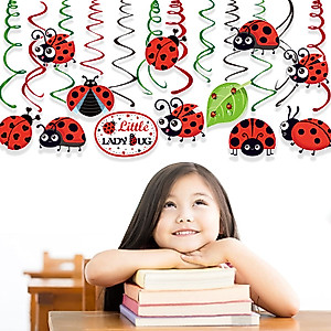 LJCL Ladybug Hanging Swirls Decorations 30ct Colorful Little Lady Bug Ceiling Whirl Streamers Spirals Foil for Baby Shower or Ladybug Birthday Party Decorations Supplies Hanging Decor