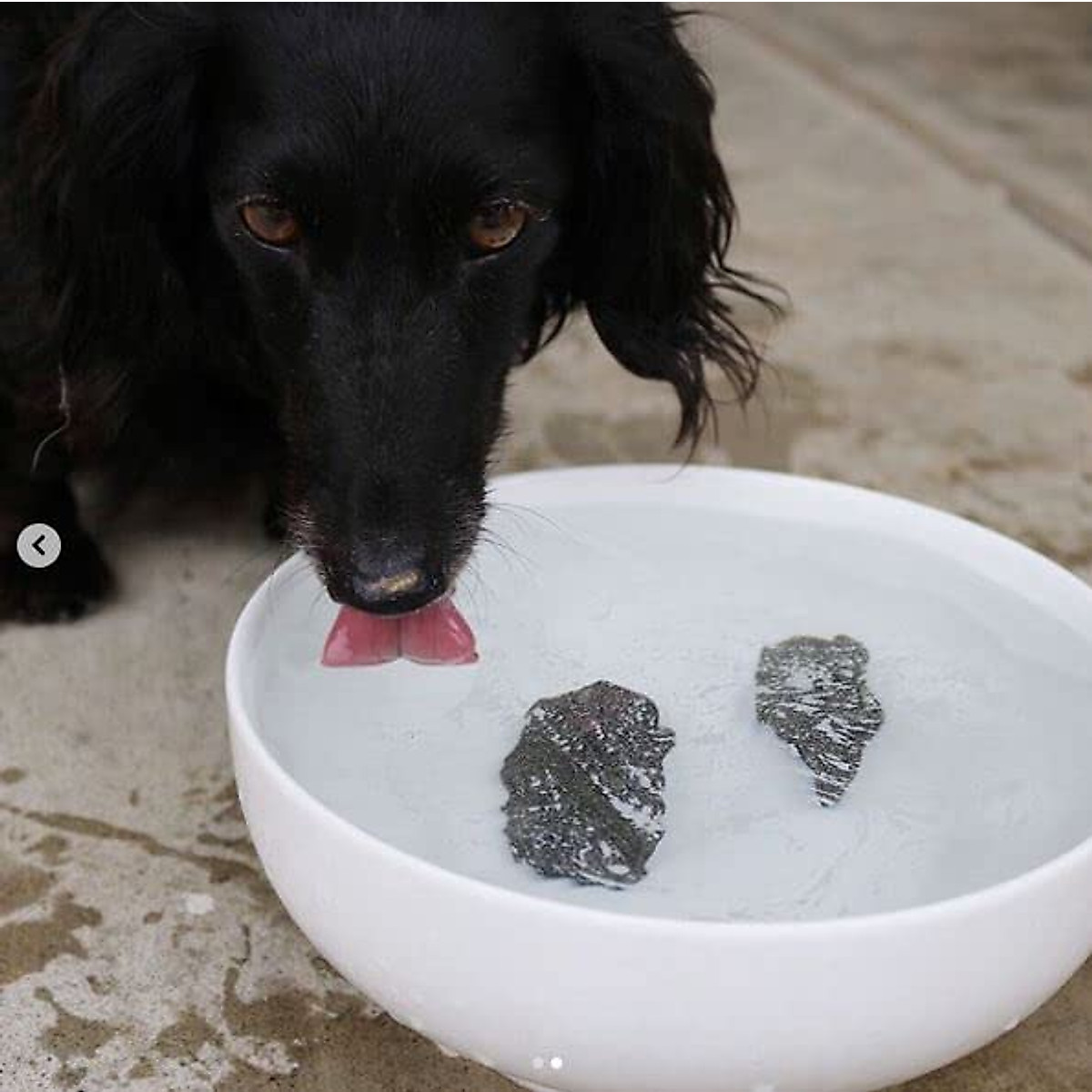 Dog Rocks - Prevent Grass Burn Spots by Pet Urine, Save Your Lawn from Yellow Marks, 3 Bags of 200g Each (6 Month Supply Total)