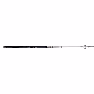 PENN Carnage III Inshore Spinning Fishing Rod