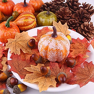 Toonshare Fall Decor Mini 8 Fake Pumpkins with 30 Artificial Maple Leaves 2 Pinecones 10 Acorns for Autumn Thanksgiving Festival Harvest Farmhouse Tiered Tray Ornaments (50 Pieces)