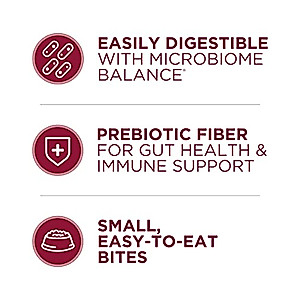 Purina ONE Small Bites Beef and Rice Formula Small Dog Food Dry - 8 lb. Bag