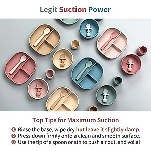 SAMiGO Baby Led Weaning Supplies - Silicone Baby Feeding Set - Suction Bowl Divided Plate Bib Cup Self Feeding Spoons - Toddler Baby Dish Set - First Stage Solid Food Eating Utensils - 6+ Months