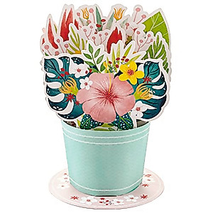 Hallmark Paper Wonder Pop Up Card for Mothers Day, Graduation, Administrative Professionals Day or Nurses Day (Displayable Bouquet)