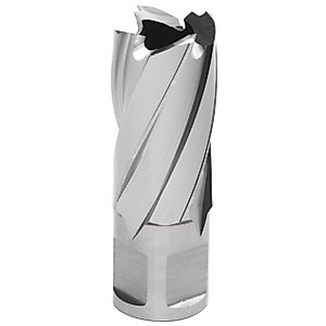 Hougen 12126 13/16 Inch Diameter x 1 Inch Depth of Cut 12,000 Series High Speed Steel Annular Cutter 3/4 Inch Weldon Shank for Magnetic Drills