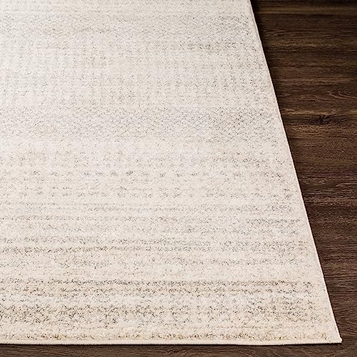 Livabliss Anya Neutral and Gray Shag Area Rug 2'6" x 8'