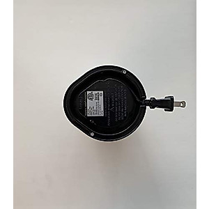 Bodum Bistro Electric Blade Coffee Grinder, Brushed Stainless Steel