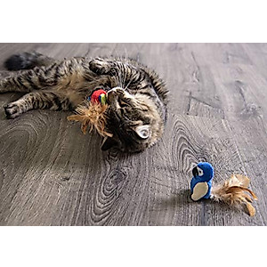 Petlinks Parrot Tweet Electronic Sound Cat Toy, Catnip Filled, Battery Powered - Randomly Selected Color, One Size