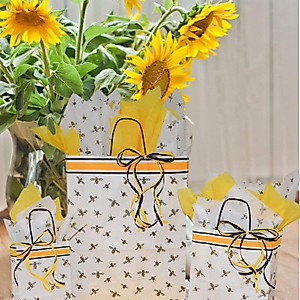 Gift Bags with Match Tissue Paper Tags and Raffia Ribbon - 3 Total Assorted Sizes (BEE)