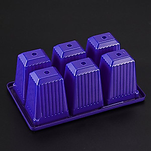 Yardwe 5 Pcs Square Seedling Pots Plant Germination Trays Vegetable Tray Plant Grower Sprouter Tray Starter Trays Growing Trays Microgreens Tray Mini Plants Miniature Planting Tray