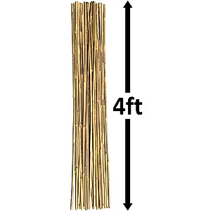 Dlh Western Natural Bamboo Poles, Eco-Friendly Plant Support Garden Stakes 4ft Long, Diameter of 3/8" (25-Count)
