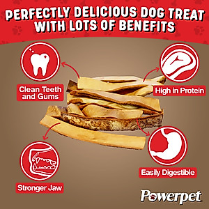 Powerpet Treats Natural Smoked Beef Jerky Skin for Dogs - Premium High Protein, Grain-Free, Rawhide-Free, Long-Lasting Chews, Ideal for All Breeds, Promotes Dental Health - Easy Digestion - 8oz Bag