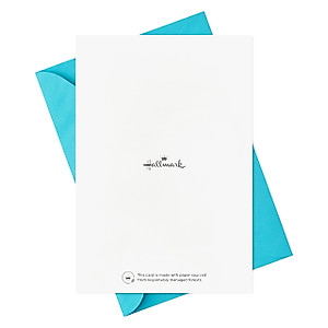 Hallmark Birthday Cards Assortment, 36 Cards with Envelopes (Party Time)