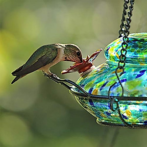 Nature's Way Bird Products GHF7 Hand Blown Illuminated Top Fill Hummingbird Feeder