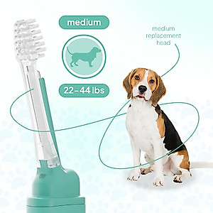 Petsie Dog Toothbrush Replacement Heads | 2 Pack | Replace Every Three Months | Reduces Bad Breath | Compatible with Petsie Toothbrush Only (White, Medium Dogs)