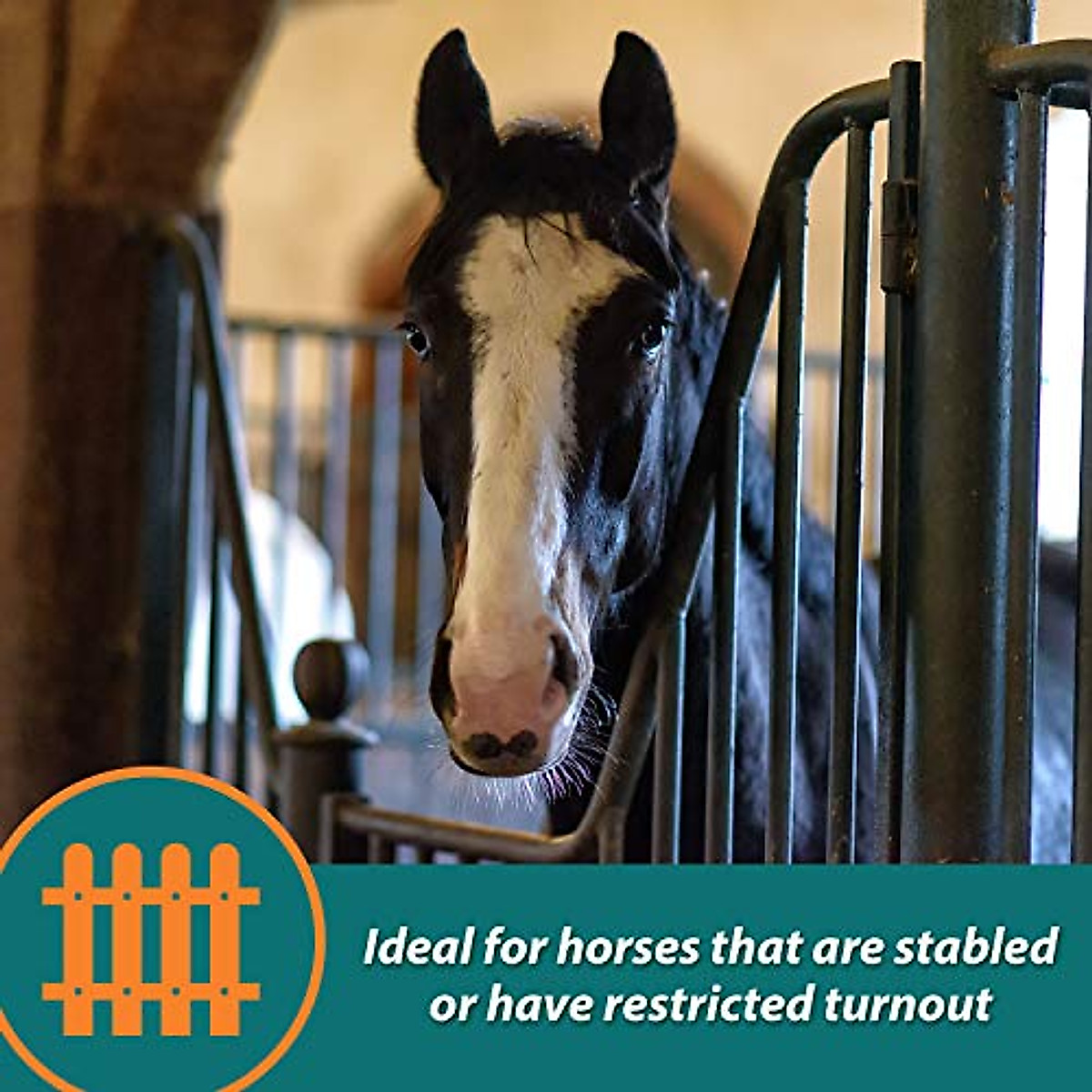 Farnam Cough Free Horse Cough Supplement Pellets, Provides Respiratory Support for Horses with Seasonal Allergies or Stable Cough, 2.5 pounds, 70 Day Supply