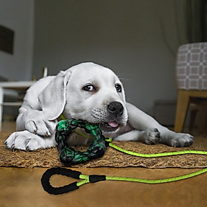 Anhozuo Dog Chew Toys for Aggressive Chewers Large Breed, Tough Durable Dog Toys, Real Bacon Flavor Skull Dog Chew Toys with 6 FT x 1/2" Durable Slip Lead Dog Leash