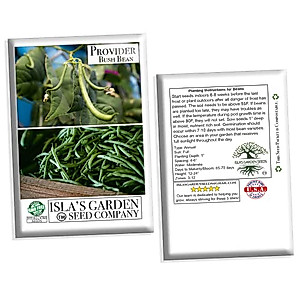 Provider Bush Green Bean Seeds for Planting, 30+ Heirloom Seeds Per Packet, (Isla's Garden Seeds), Non GMO Seeds, Botanical Name: Phaseolus vulgaris, Great Home Garden Gift