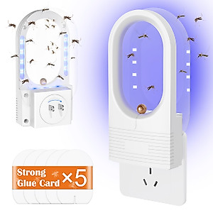 Fruit Fly Traps for Indoors, Plug in Fly Trap Indoor Bug Catcher with Double Sided Glue Card, Flying Insect Trap Gnat Traps for Mosquito, Flies, Fruit Flies, Moths, Gnats (1 Device + 5 Refills)