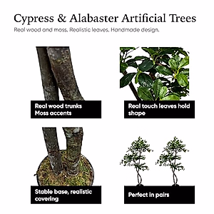 Hand-Made 5' Black Olive Leaf Artificial Tree with Ethically Sourced Real Wood Trunks | Green | Cypress & Alabaster