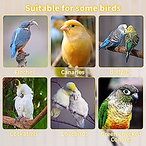 Hamiledyi Bird Perch Bird Stand Bird Cage Accessories Platform Natural Wood Perch Stick Playground for Small Medium Birds Cockatiel Parakeet Conure Cage Accessory (8 Pcs)