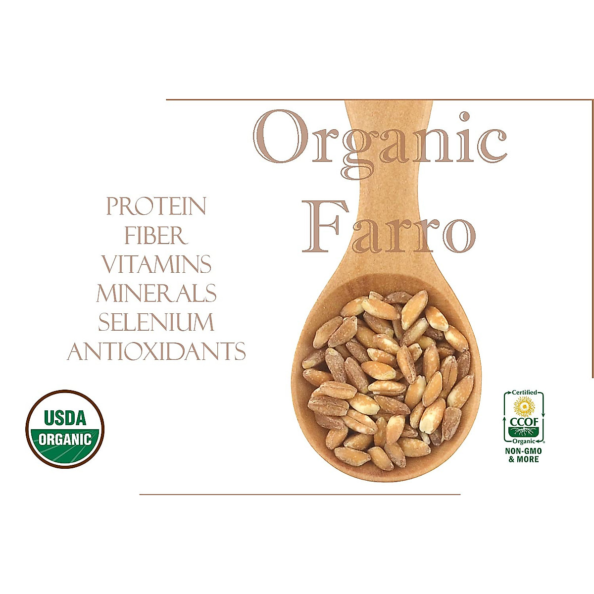 Organic Italian Pearled Farro - Raw, Non-GMO, Vegan, Bulk, Protein, Fiber Rich (5LB)