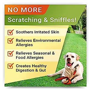 Allergy Relief Dog Treats w/Omega 3 + Pumpkin + Enzymes + Turmeric - Itchy Skin Relief - Immune & Digestive Supplement - Skin & Coat Health - Anti-Itch & Hot Spots -Made in USA - Chicken Flavor Chews