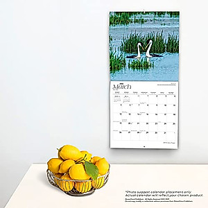 Oregon Wild & Scenic | 2023 12 x 24 Inch Monthly Square Wall Calendar | BrownTrout | USA United States of America Pacific West State Nature